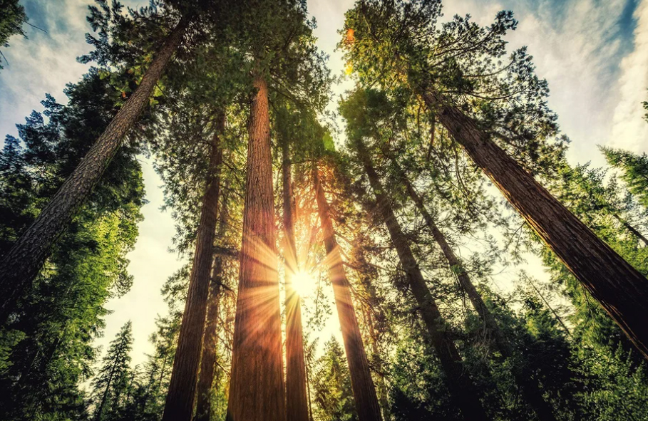 Matthew L. Sanders, Author - Summer Common Reading Program | Illinois ...