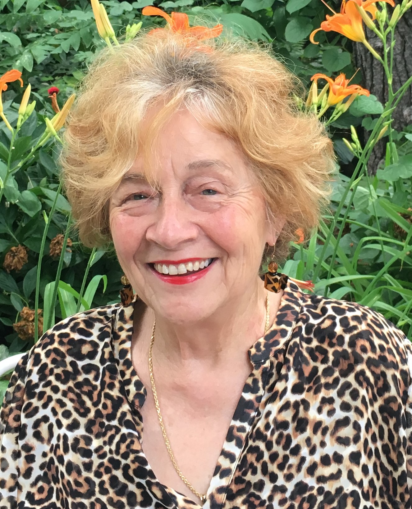 New directors elected to the Illinois College Alumni Association ...